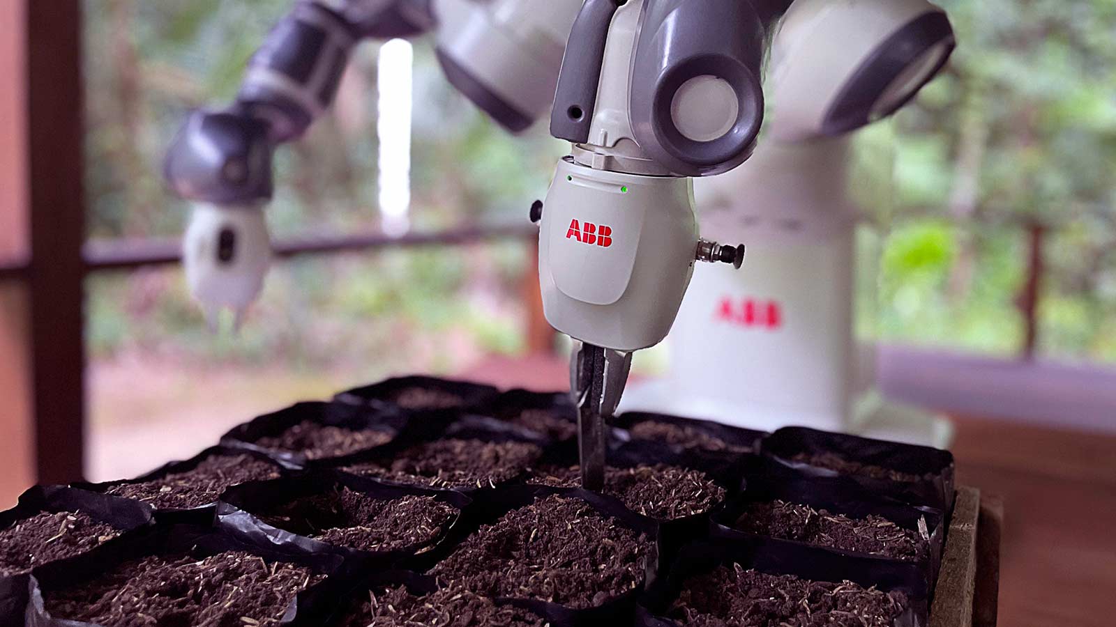 Tree-Planting Robot Supports Reforestation Efforts in the Amazon